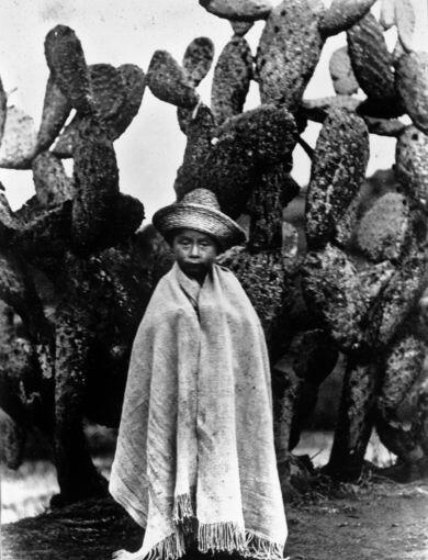 Tina Modotti. Women, Mexico and Freedom | Gruppo Unipol